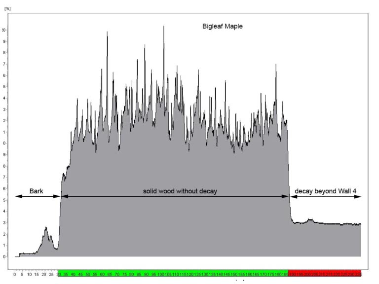 Decay in Trees and the Resistograph® - RINNTECH