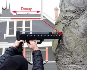 Resistograph® - The resistance drill for detecting decay in wood.